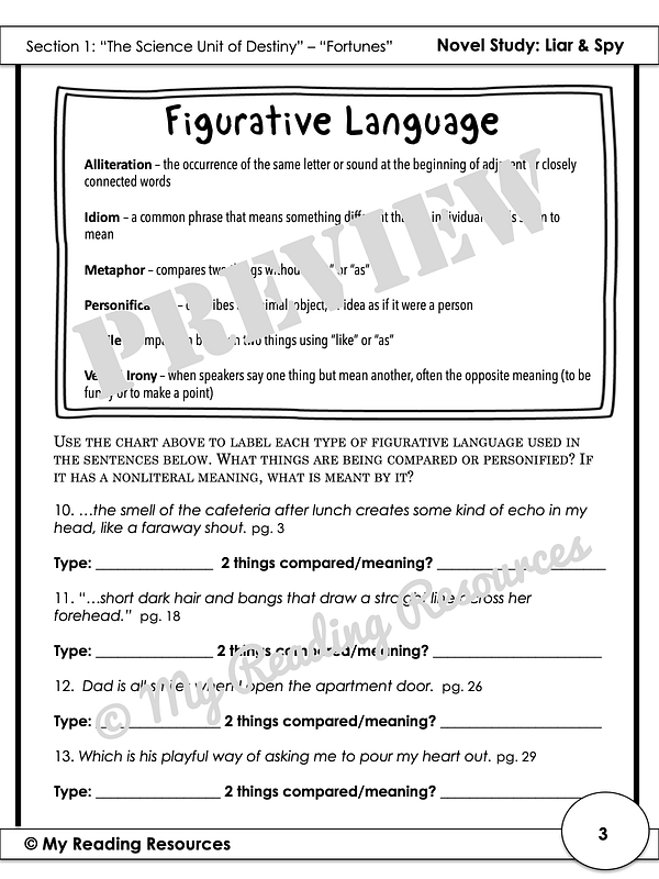 Liar & Spy Novel Study - My Reading Resources