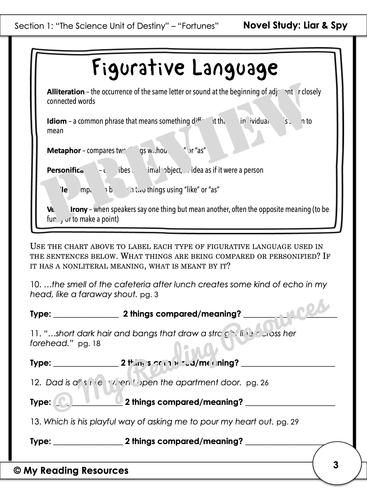 Liar & Spy Novel Study - My Reading Resources