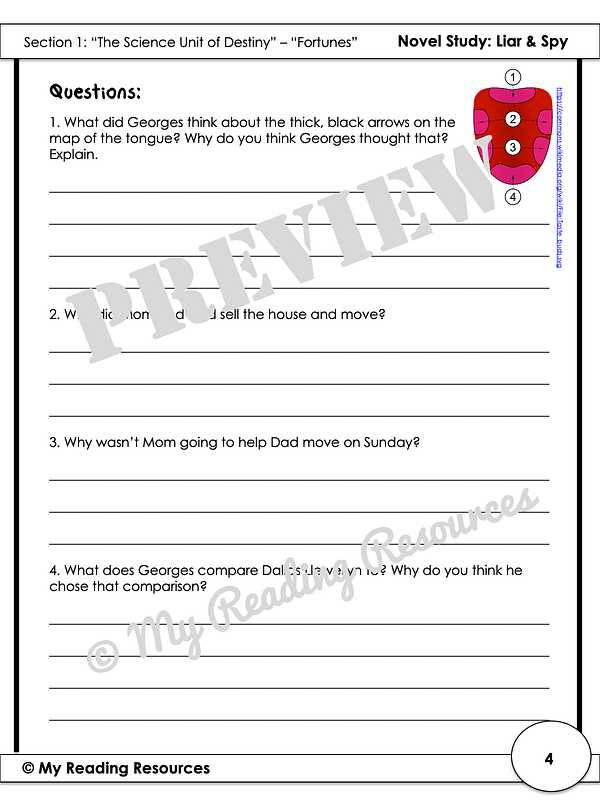 Liar & Spy Novel Study - My Reading Resources