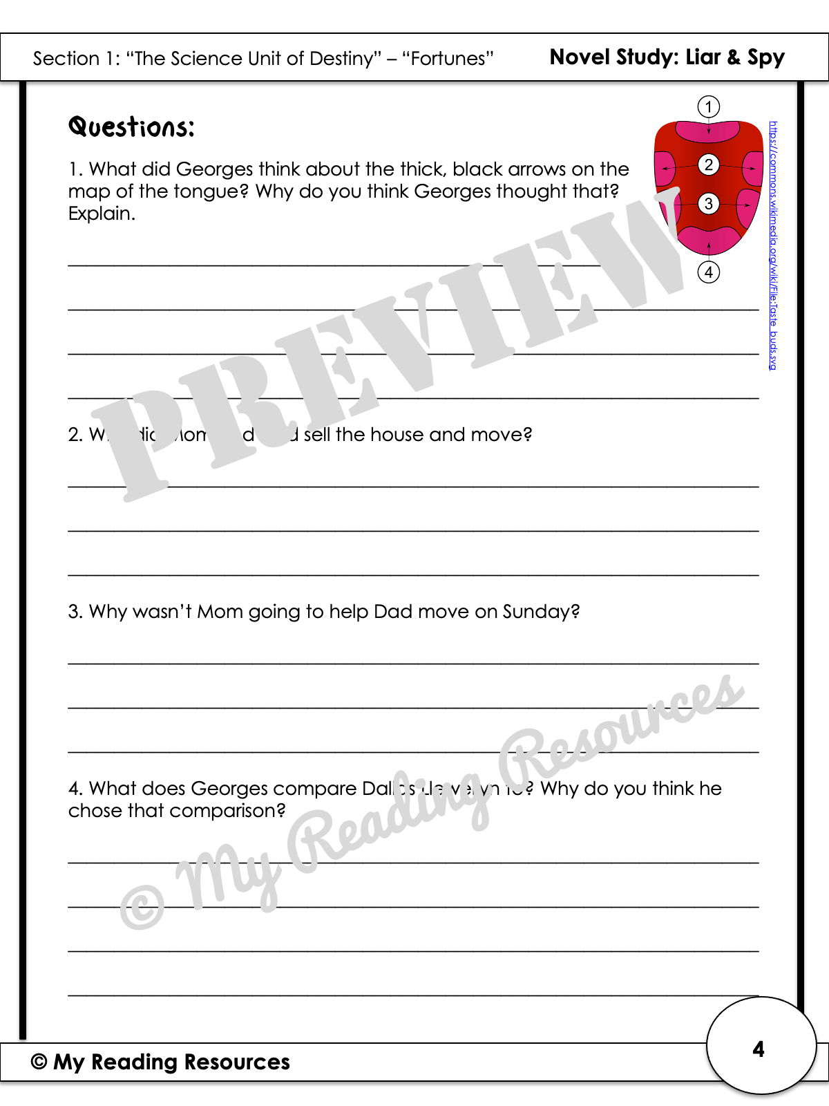 Liar & Spy Novel Study - My Reading Resources