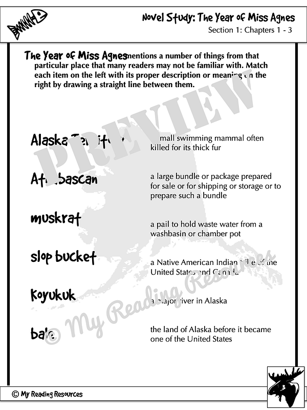 The Year of Miss Agnes Novel Study - My Reading Resources