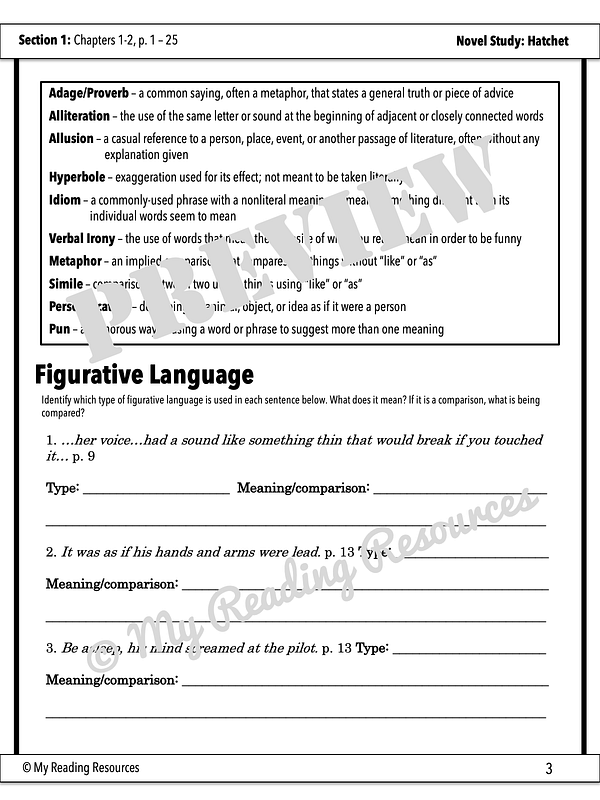 Hatchet Novel Study - My Reading Resources