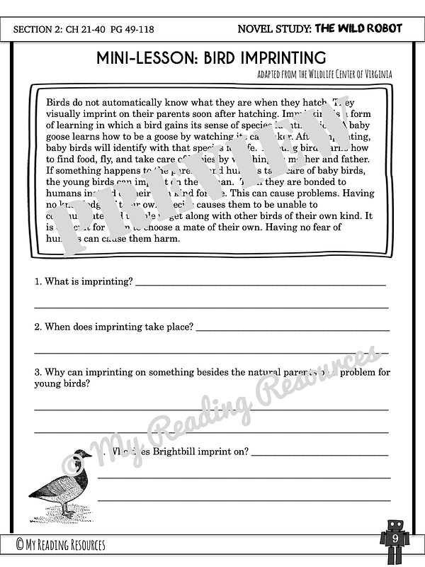 The Wild Robot Novel Study - My Reading Resources