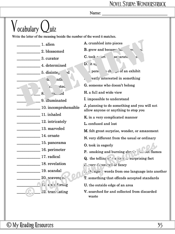 Wonderstruck Novel Study - My Reading Resources