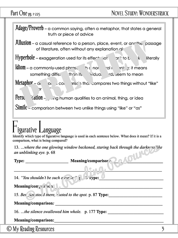 Wonderstruck Novel Study - My Reading Resources