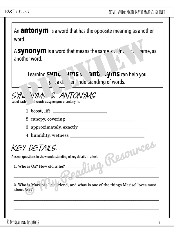 Maybe Maybe Marisol Rainey Student Worksheet Packet - My Reading Resources