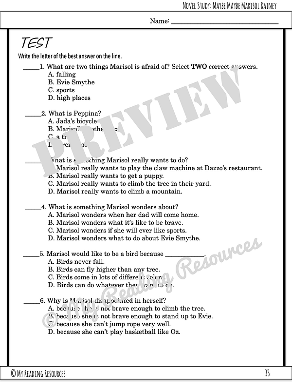 Maybe Maybe Marisol Rainey Novel Study - My Reading Resources