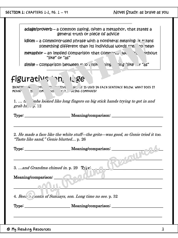 As Brave As You Student Worksheet Packet - My Reading Resources